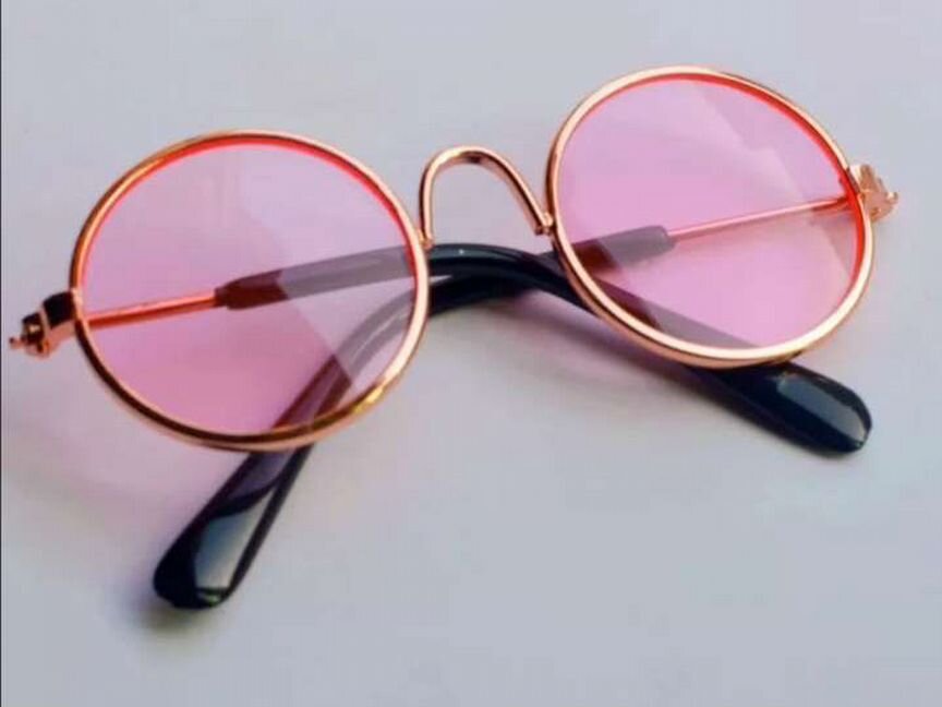 Очки для животных