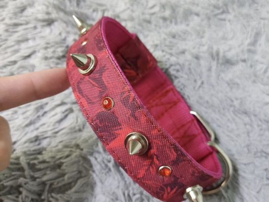 Ошейник для собак