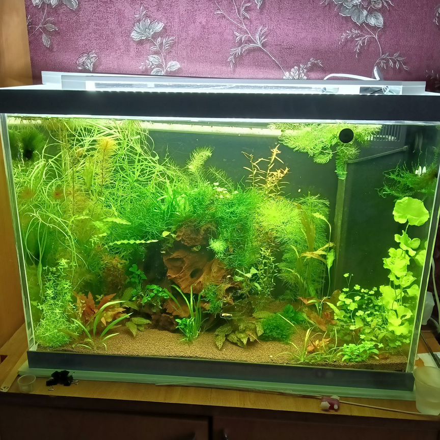 Аквариум из оргстекла