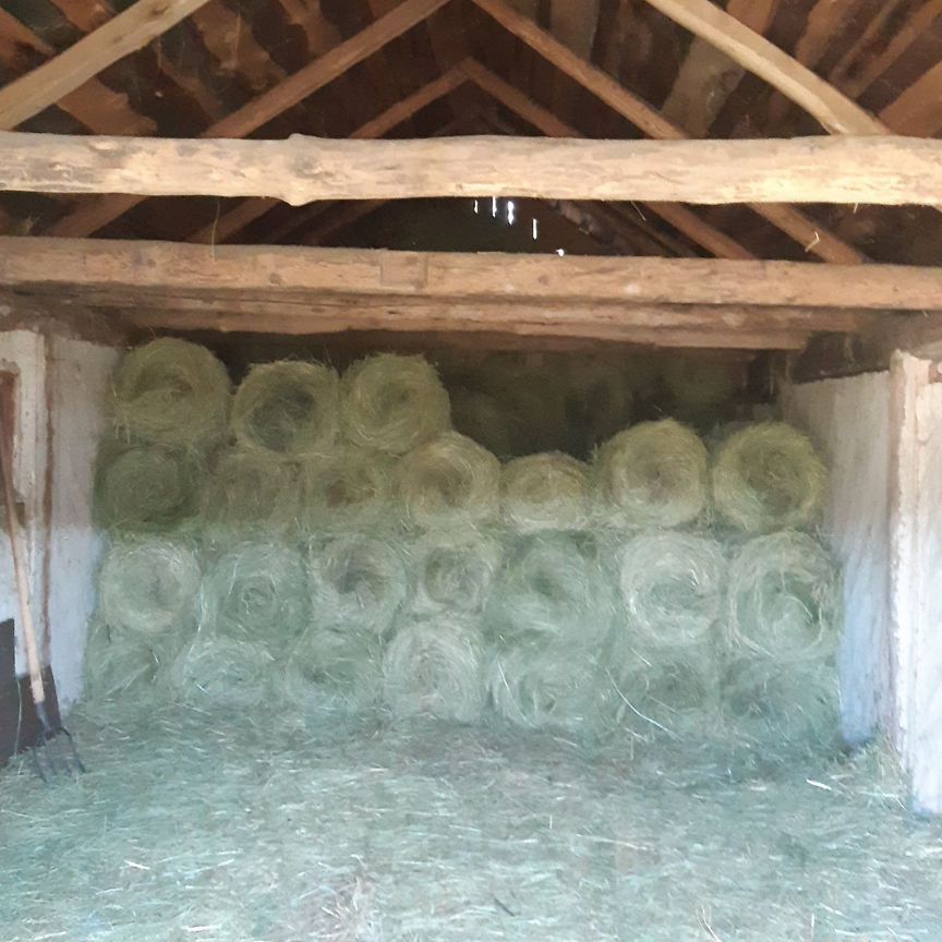 Продам сено в рулонах