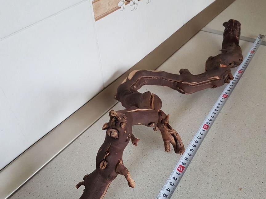 Коряга в аквариум