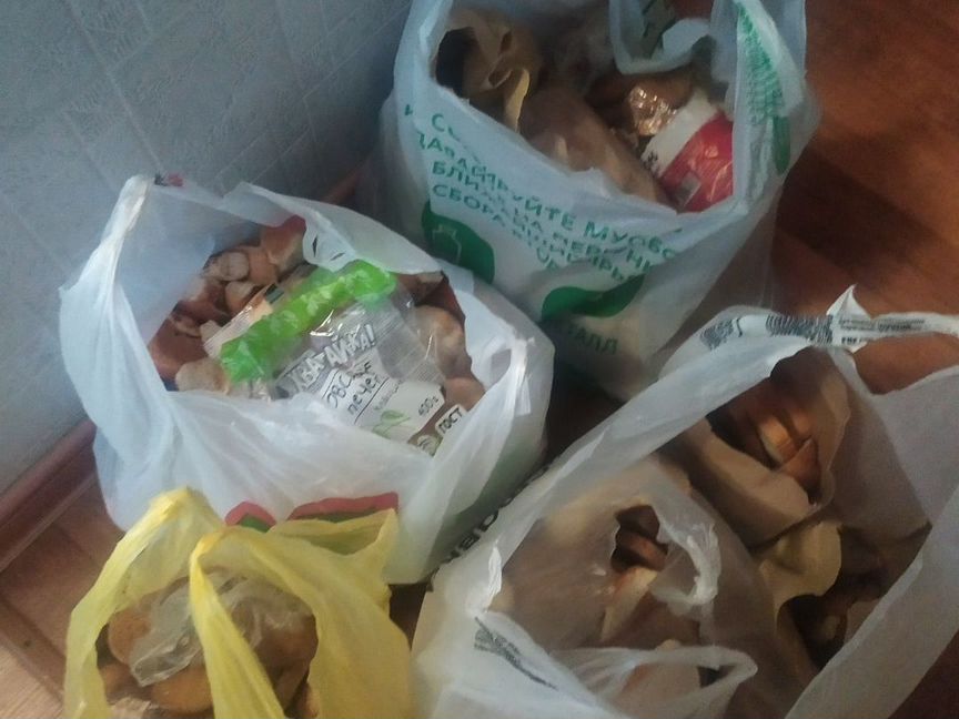 Отдам сухари