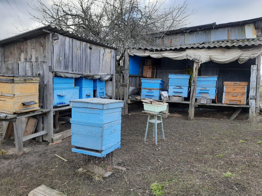 Улей для пчел