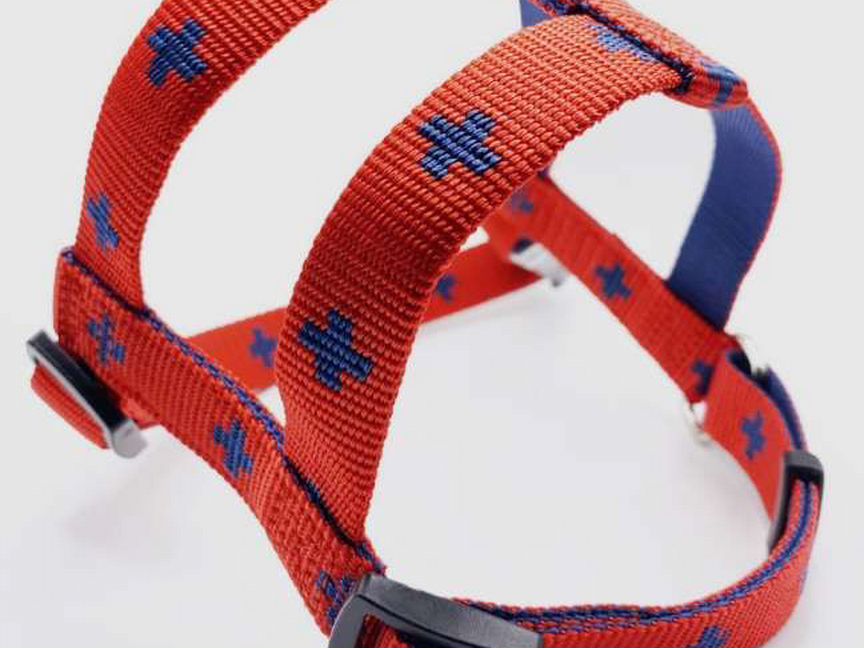 Шлейка для собак