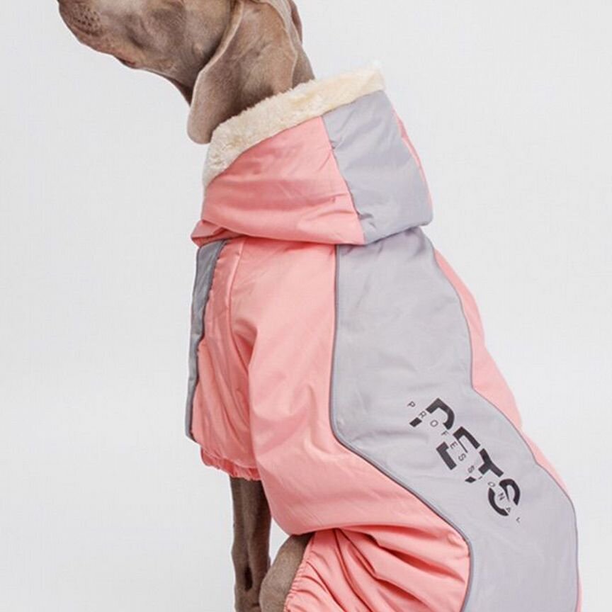 Зимняя одежда для собак