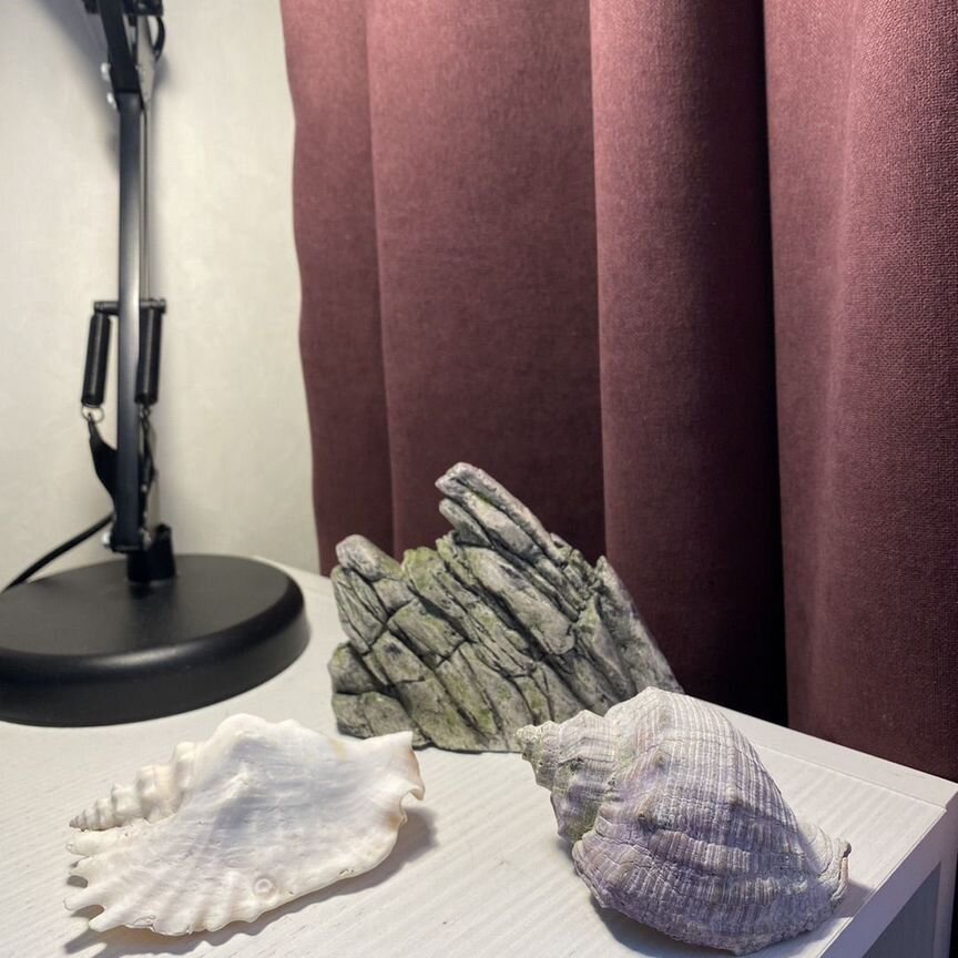 Декор для аквариума / Ракушки для аквариума