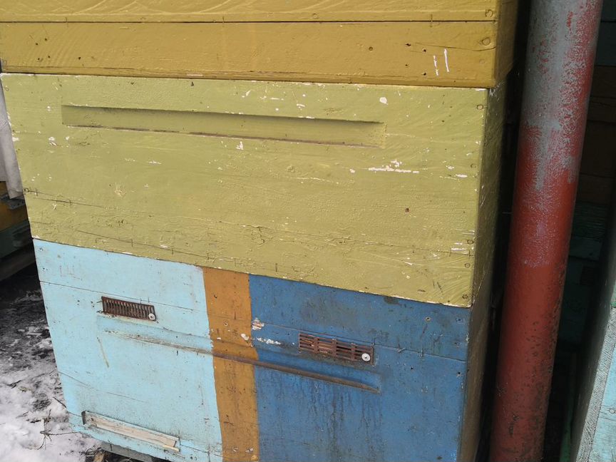Продам ульи для пчел