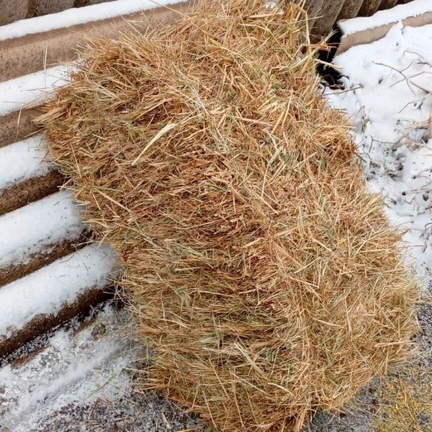 Сено в тюках