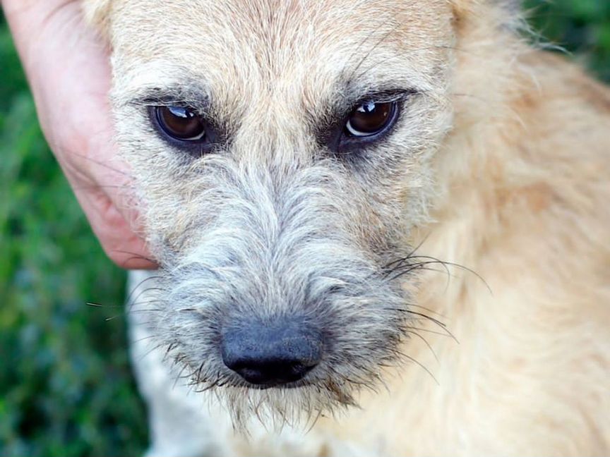 В ожидании чуда