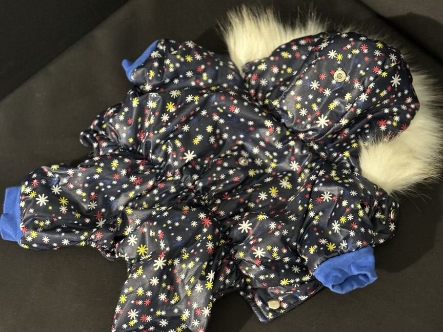 Одежда для собак чихуахуа