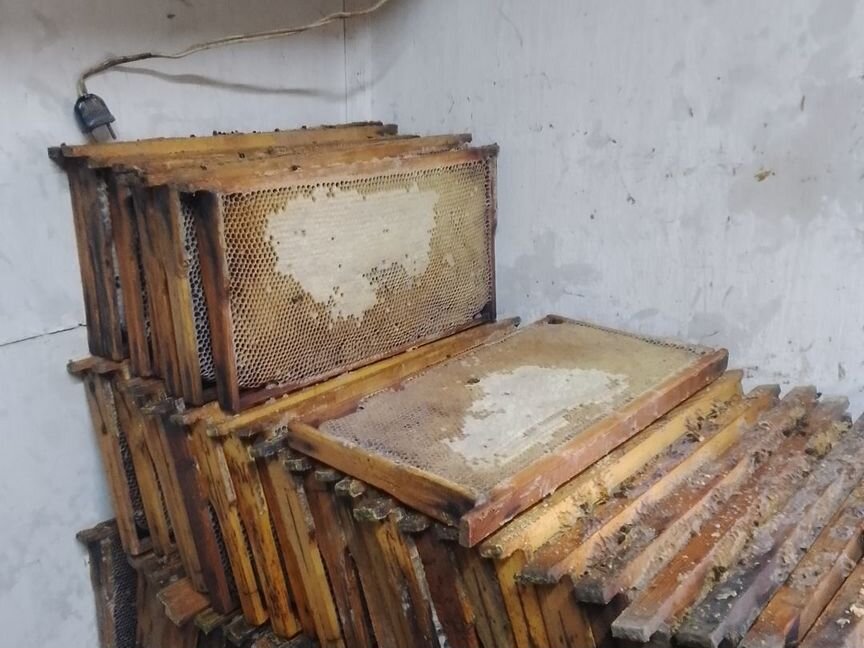 Рамки рутовские