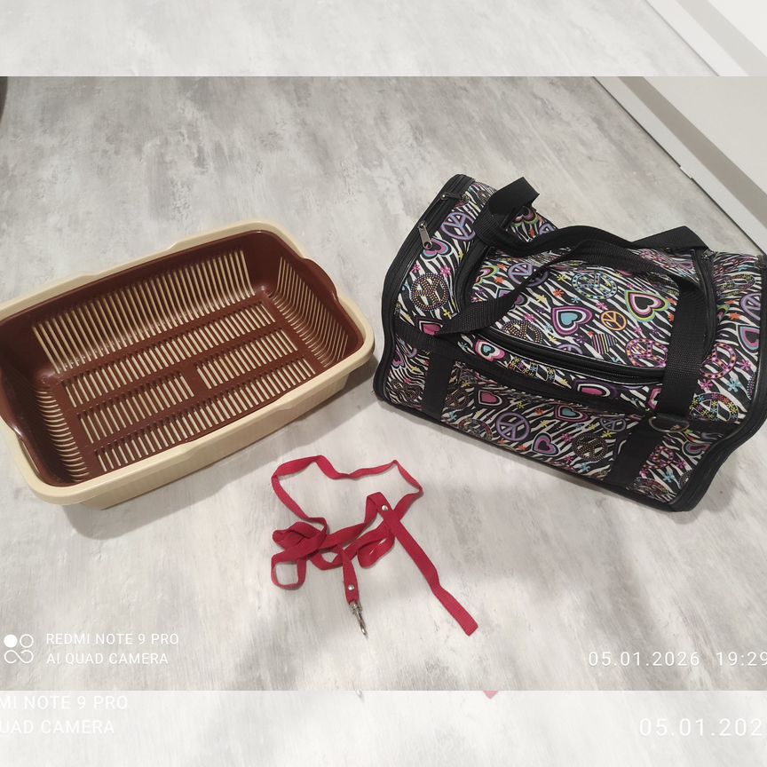 Переноска, поводок и лоток для кошек