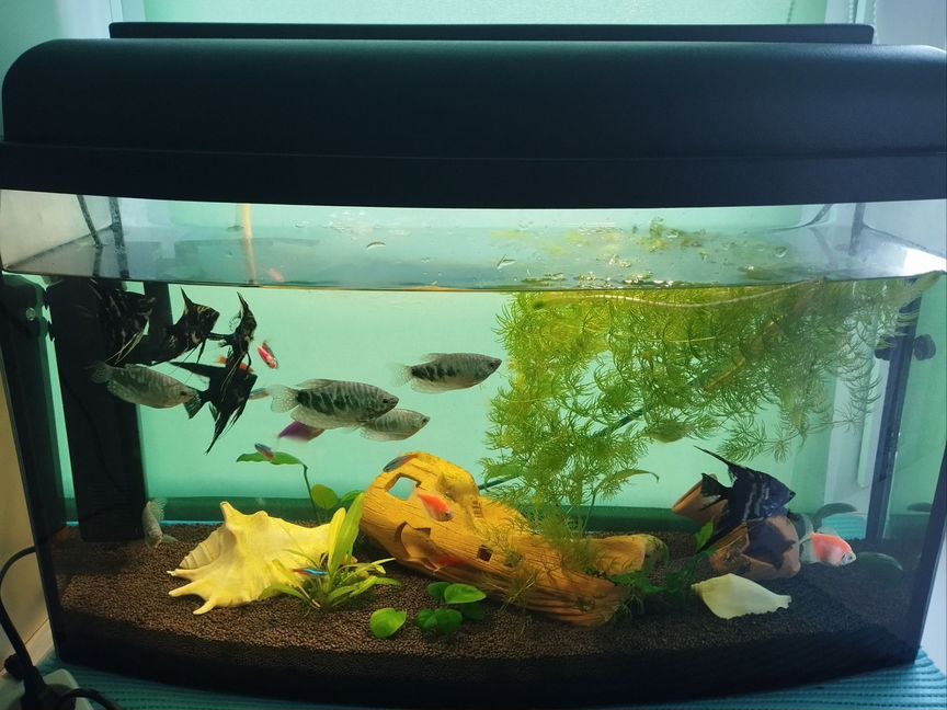 Аквариум для рыбок бу