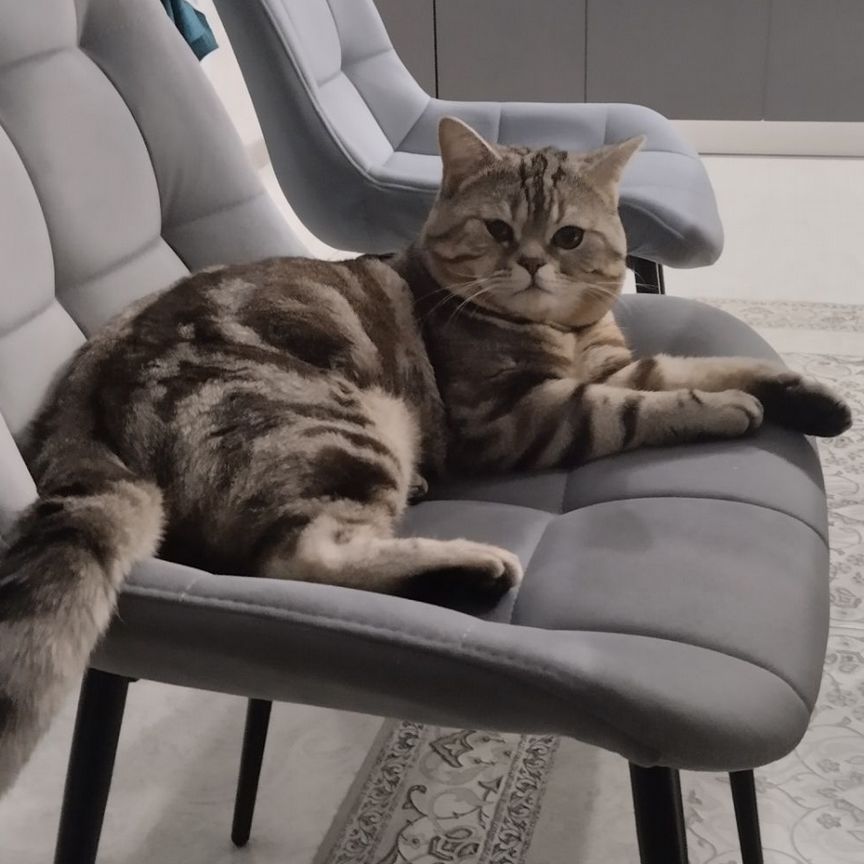 Ищем невесту