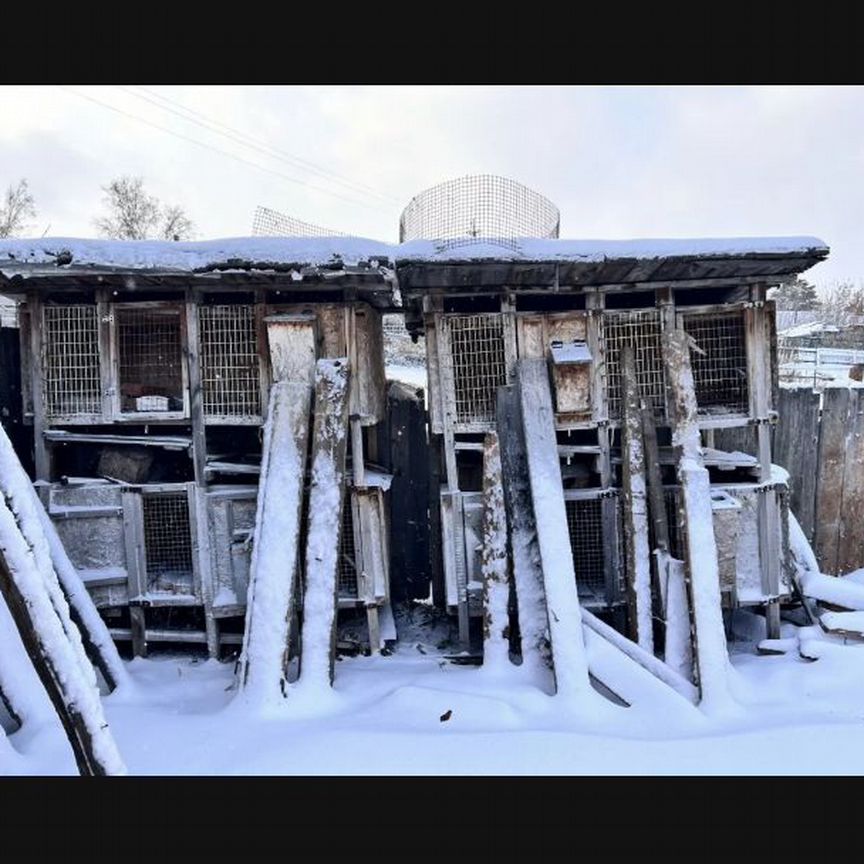 Клетка для кроликов