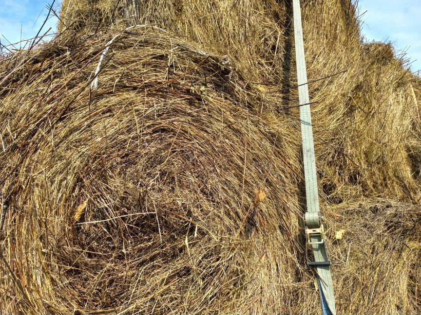 Продам сено в рулонах