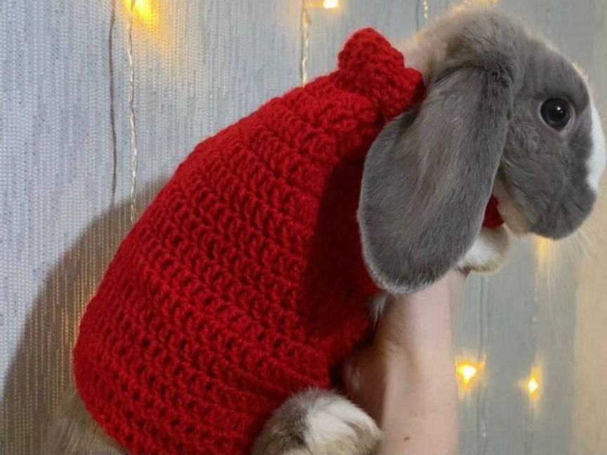 Свитер вязаный для собак мелких пород, кошек