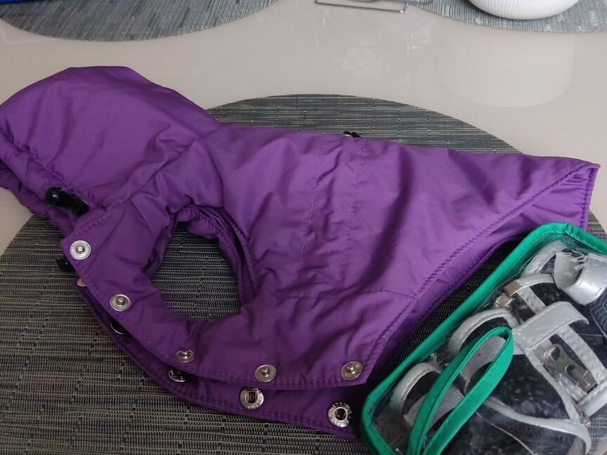 Одежда для собак мелких пород зима