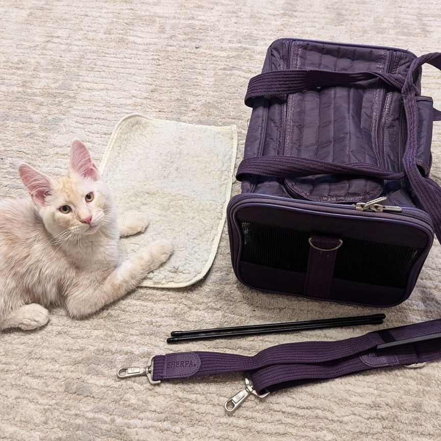 Переноска sherpa travel original deluxe