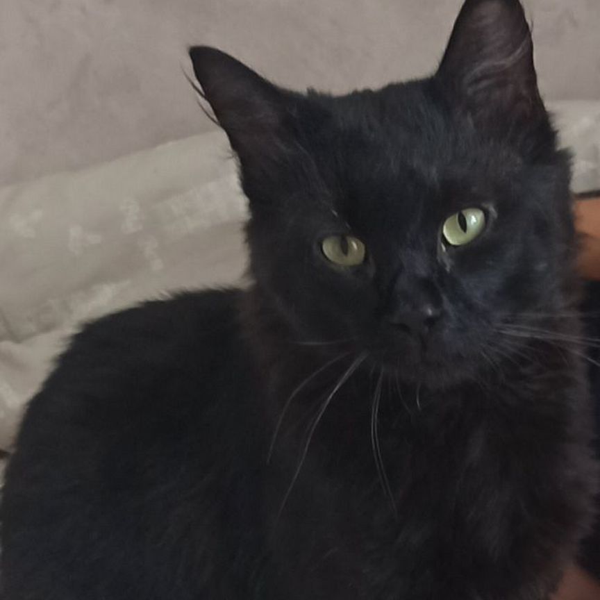 Помогите вернуться домой