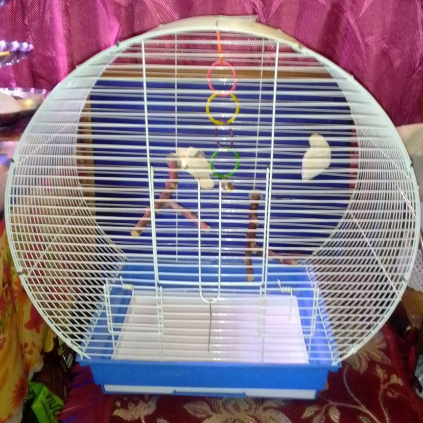 Клетка для попугая