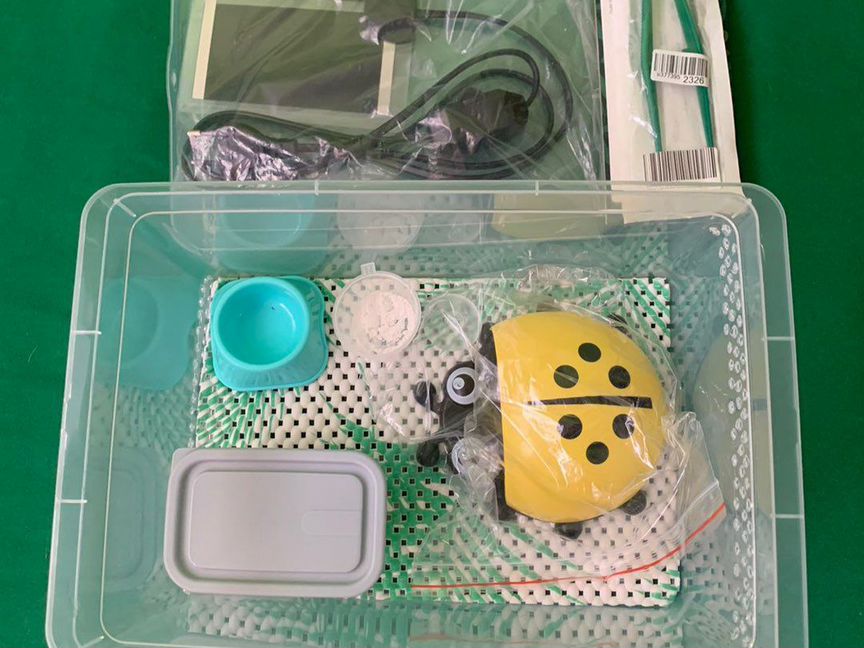 Набор для содержания Эублефара (малый )