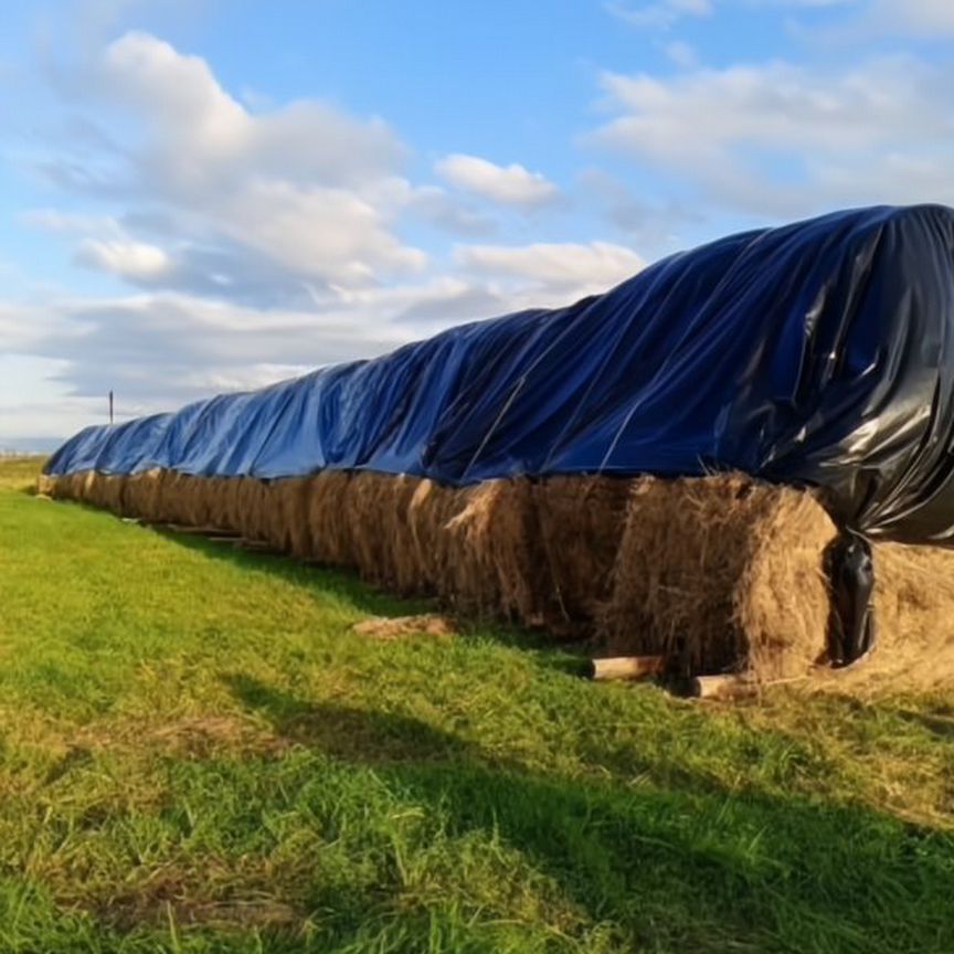 Продам сено в рулонах