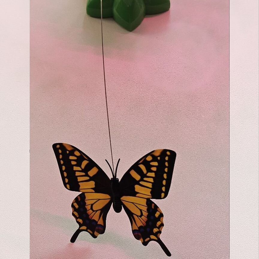 Игрушки для котят