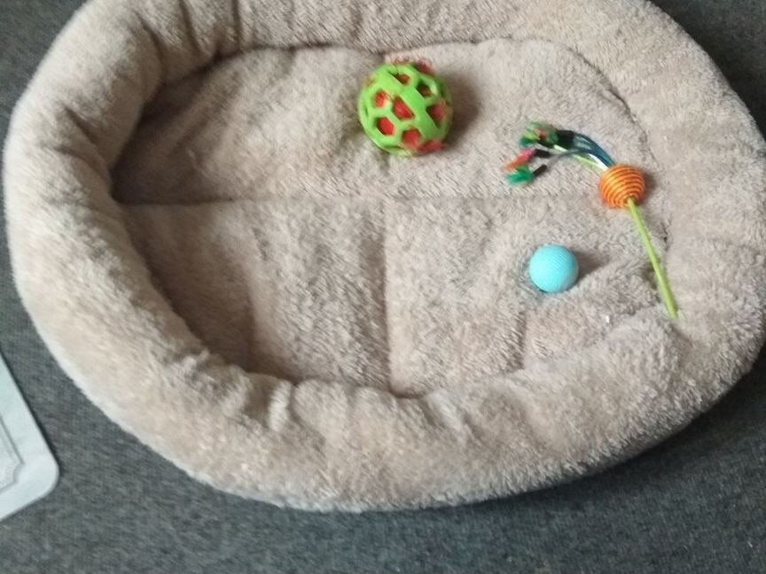 Лежанка,миска, игрушки