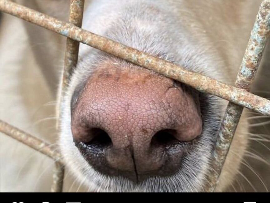 Мальчик по имени кофе