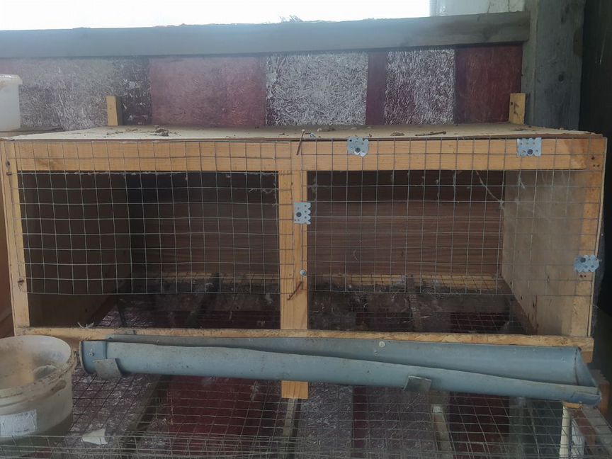 Клетки для кур 2 шт. Прихожая с зеркалом