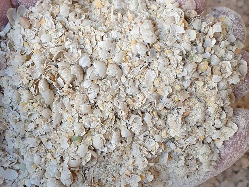 Отруби гороховые корма