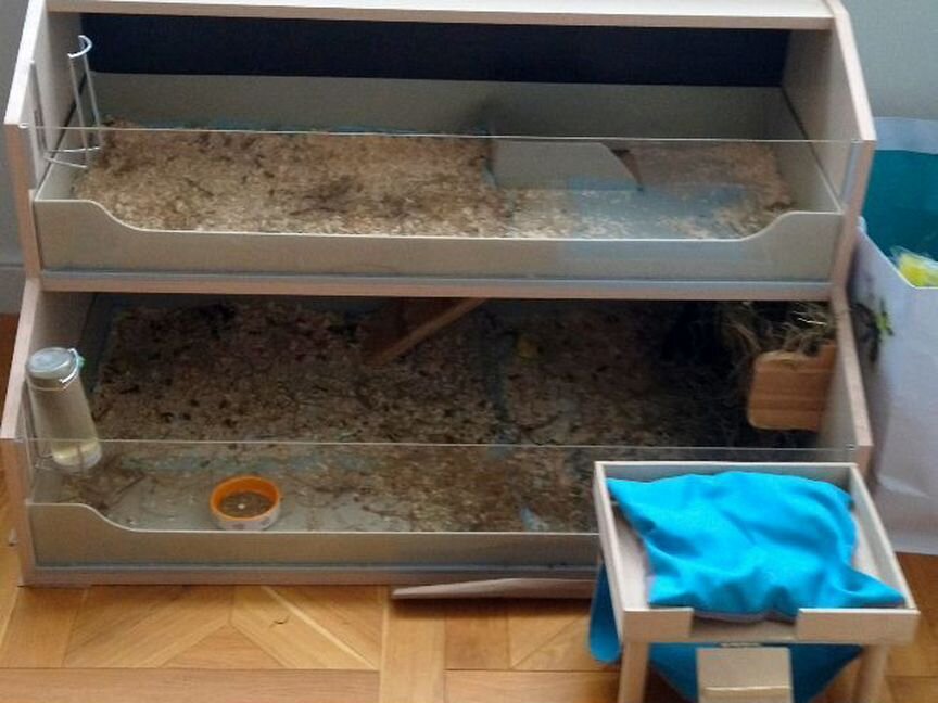 Стеллаж для морских свинок