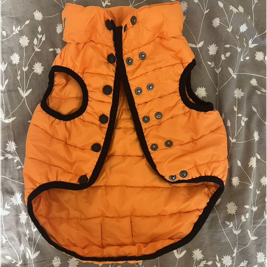 Жилетка и кофточки для маленьких собачек