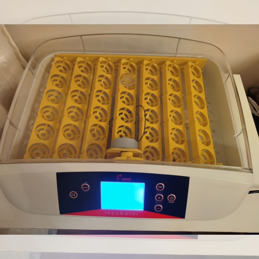 Инкубатор HHD 42A для яиц кур, перепелов