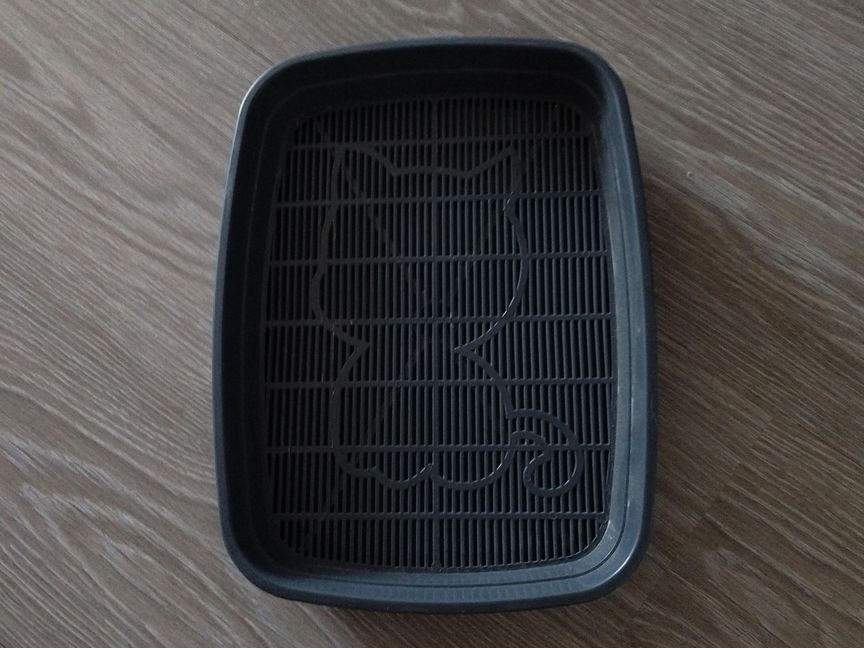 Лоток для котят