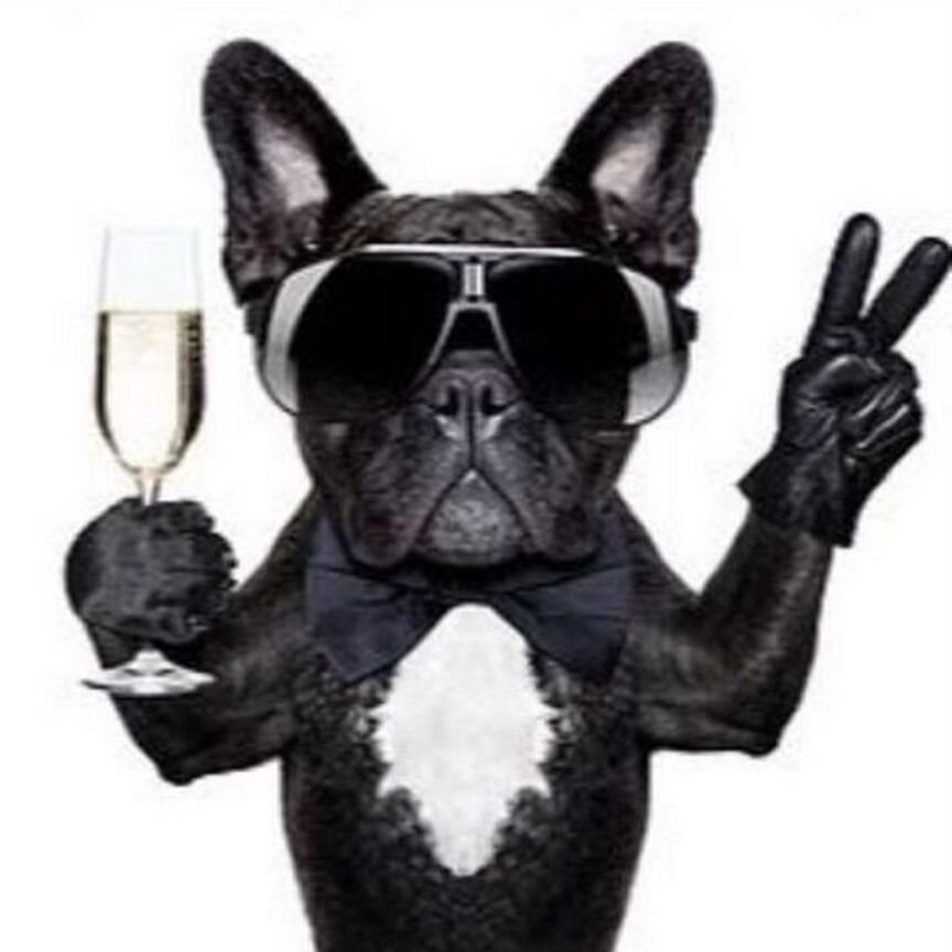 Вещи для маленьких собак