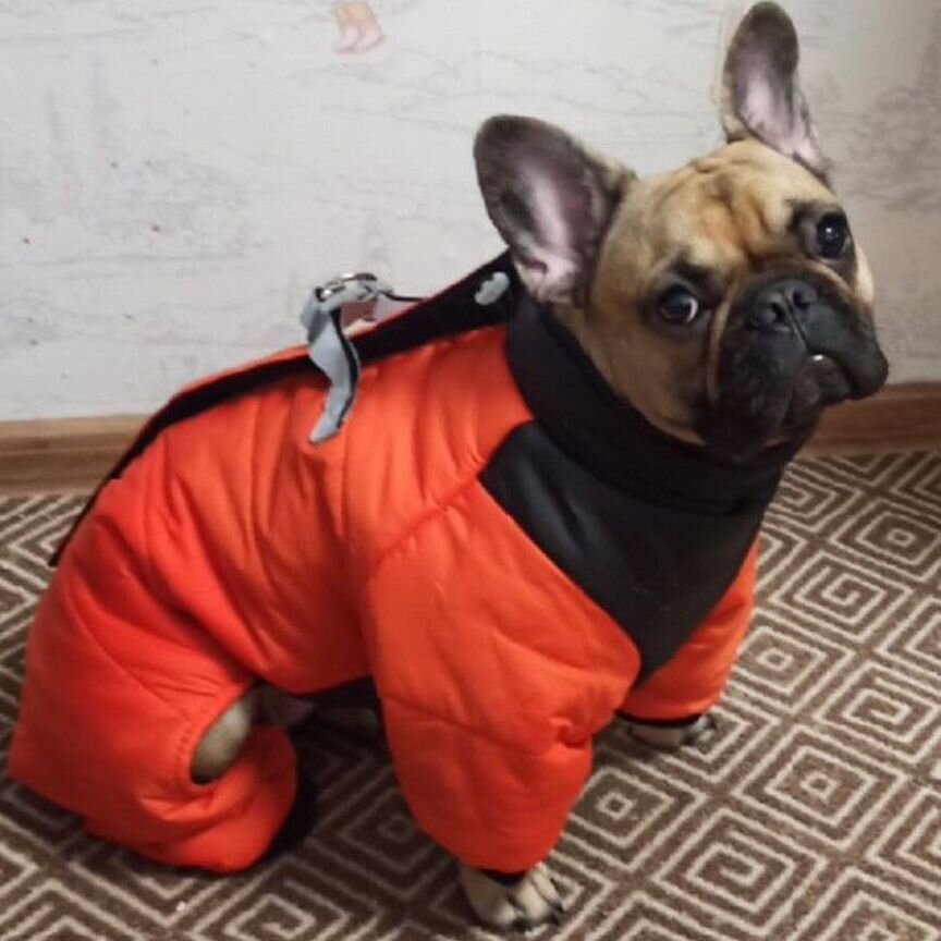 Куртка зимняя для собаки 2XL