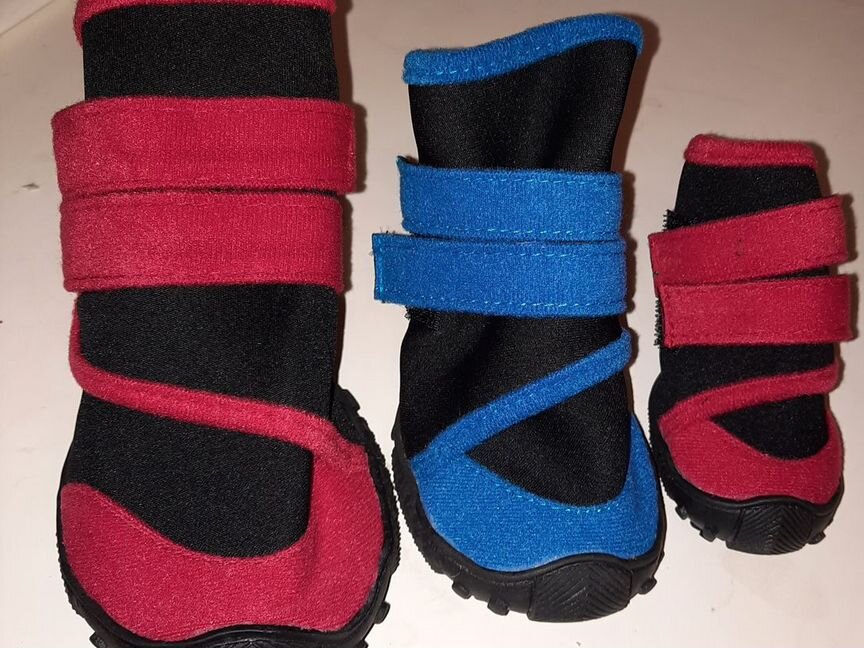 Обувь из неопрена для животных