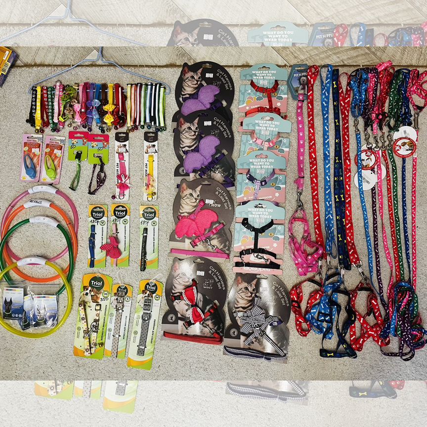 Ошейник, поводок, шлейка