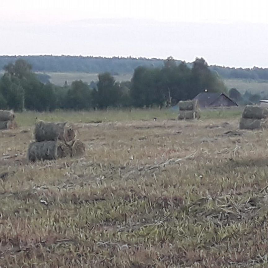 Сено луговое, в маленьких рулонах