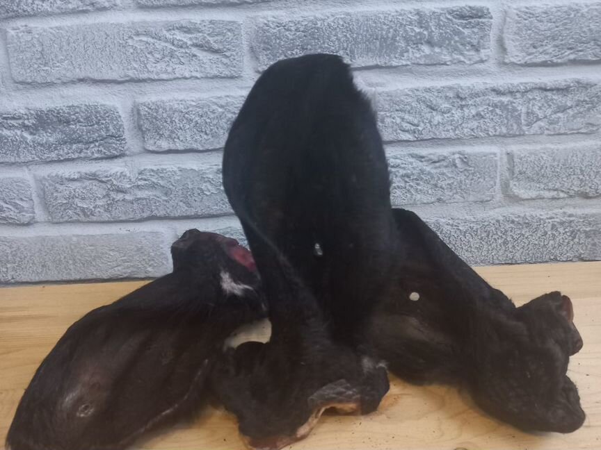 Лакомства для собак