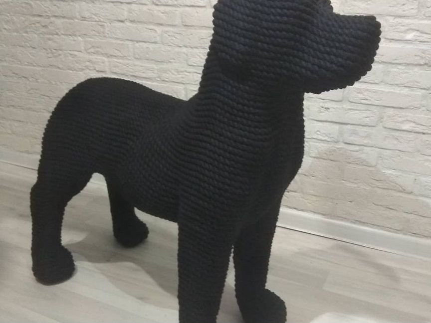 Когтеточка собака