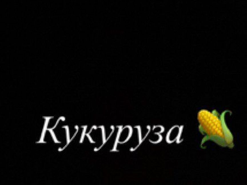 Кукуруза зерно