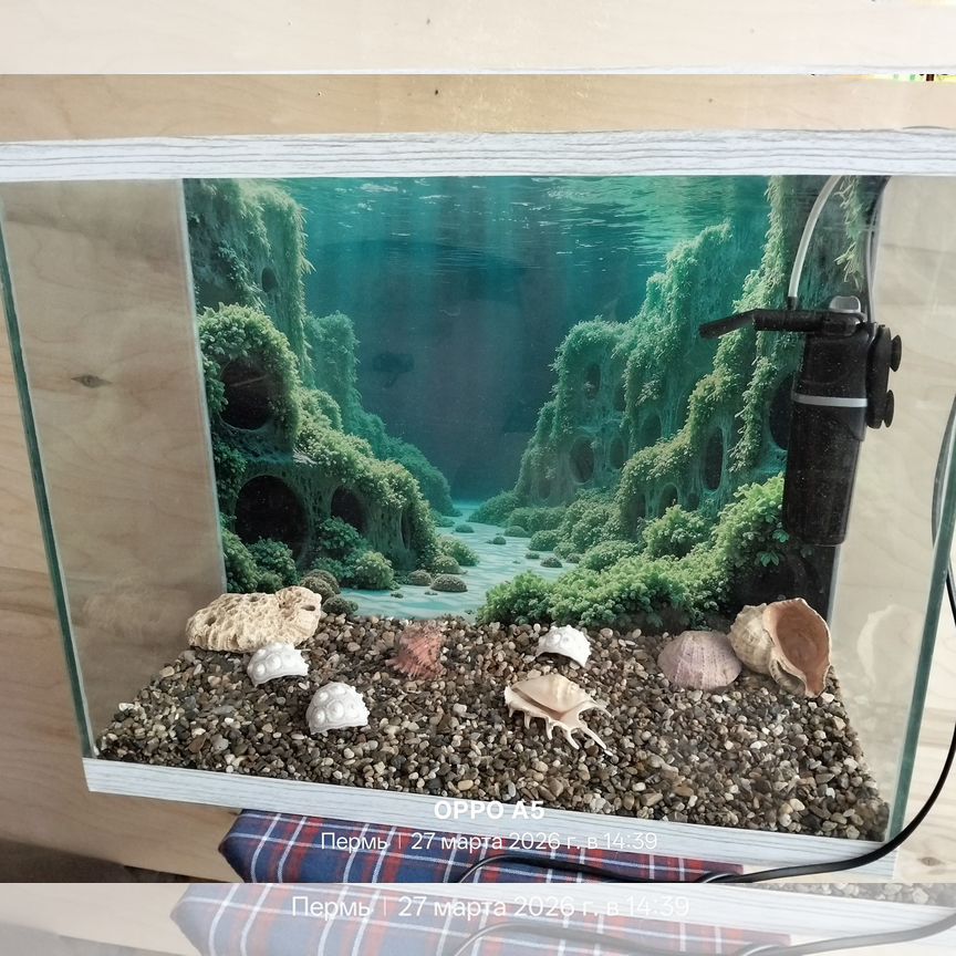Аквариум