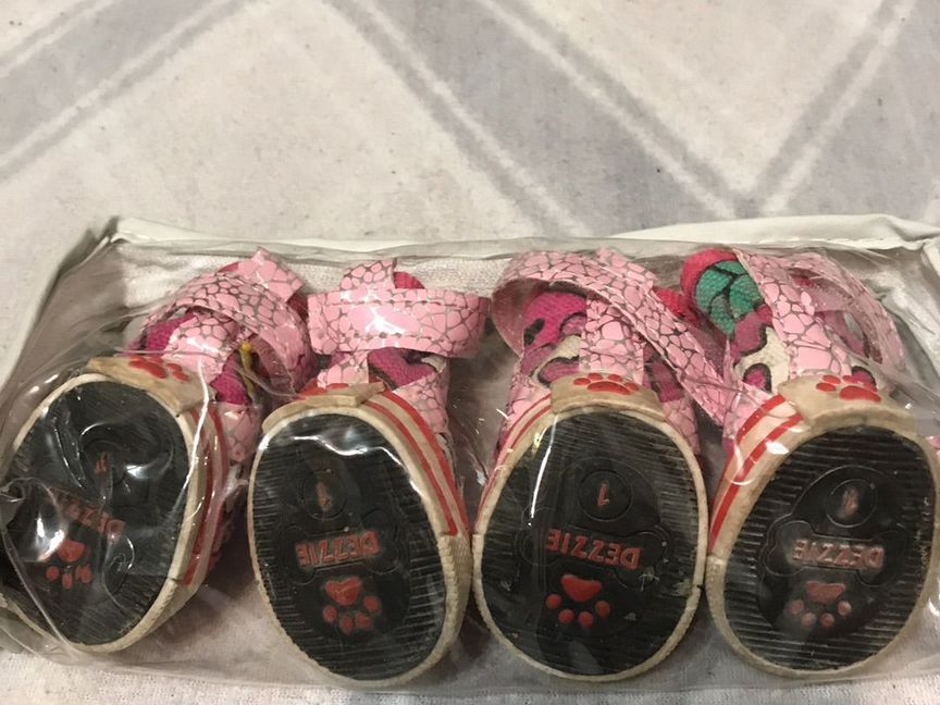 Обувь для собак мелких пород