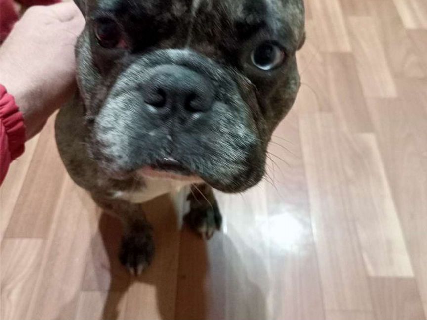 Приглашаем на вязку