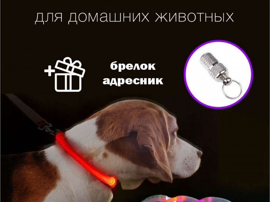 Ошейник светящийся светодиодный для животных