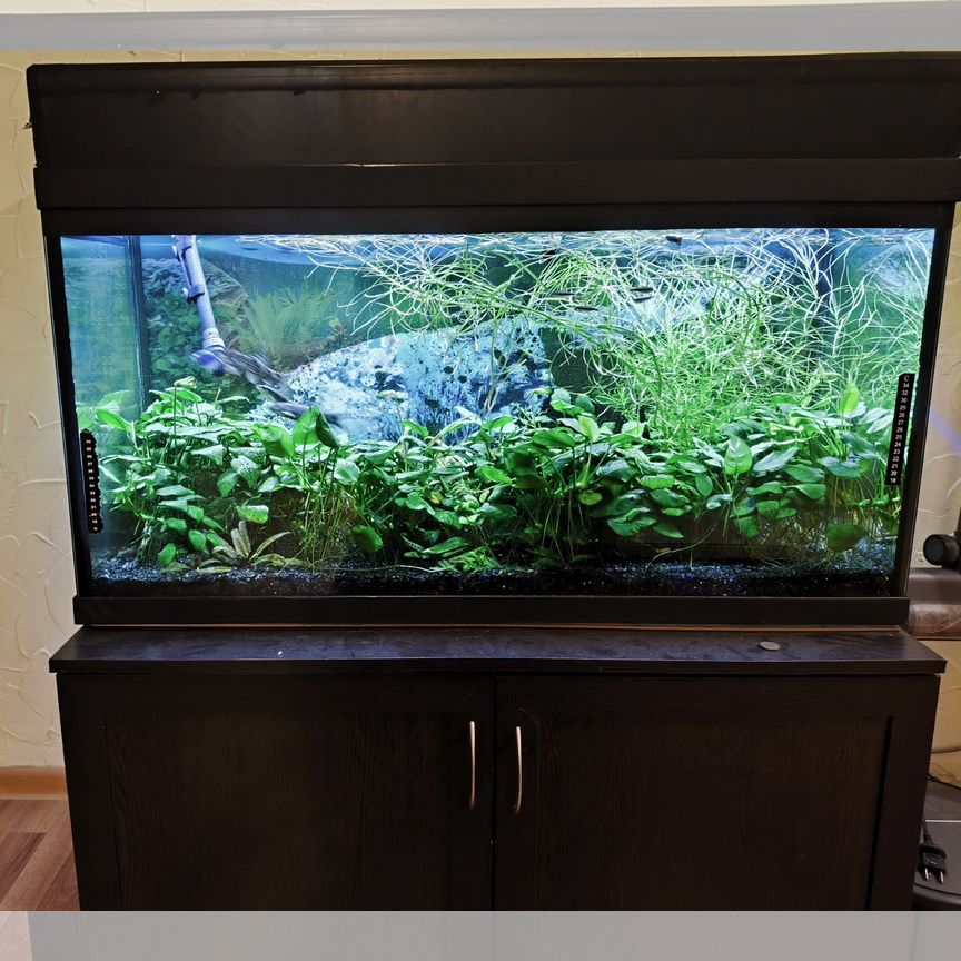 Аквариум с тумбой 250 литров