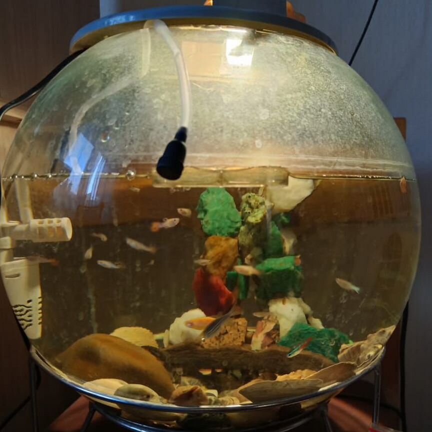 Аквариум круглый с подсветкой